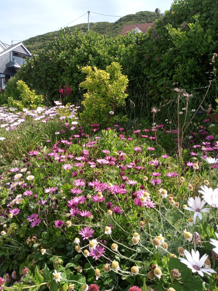 Mindful Plant Observations: Enhancing Student Wellbeing Through Nature ...